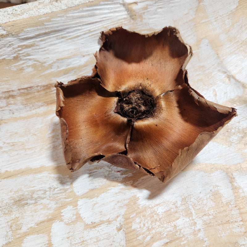 Dried Palm Cap – ReStyle & Co